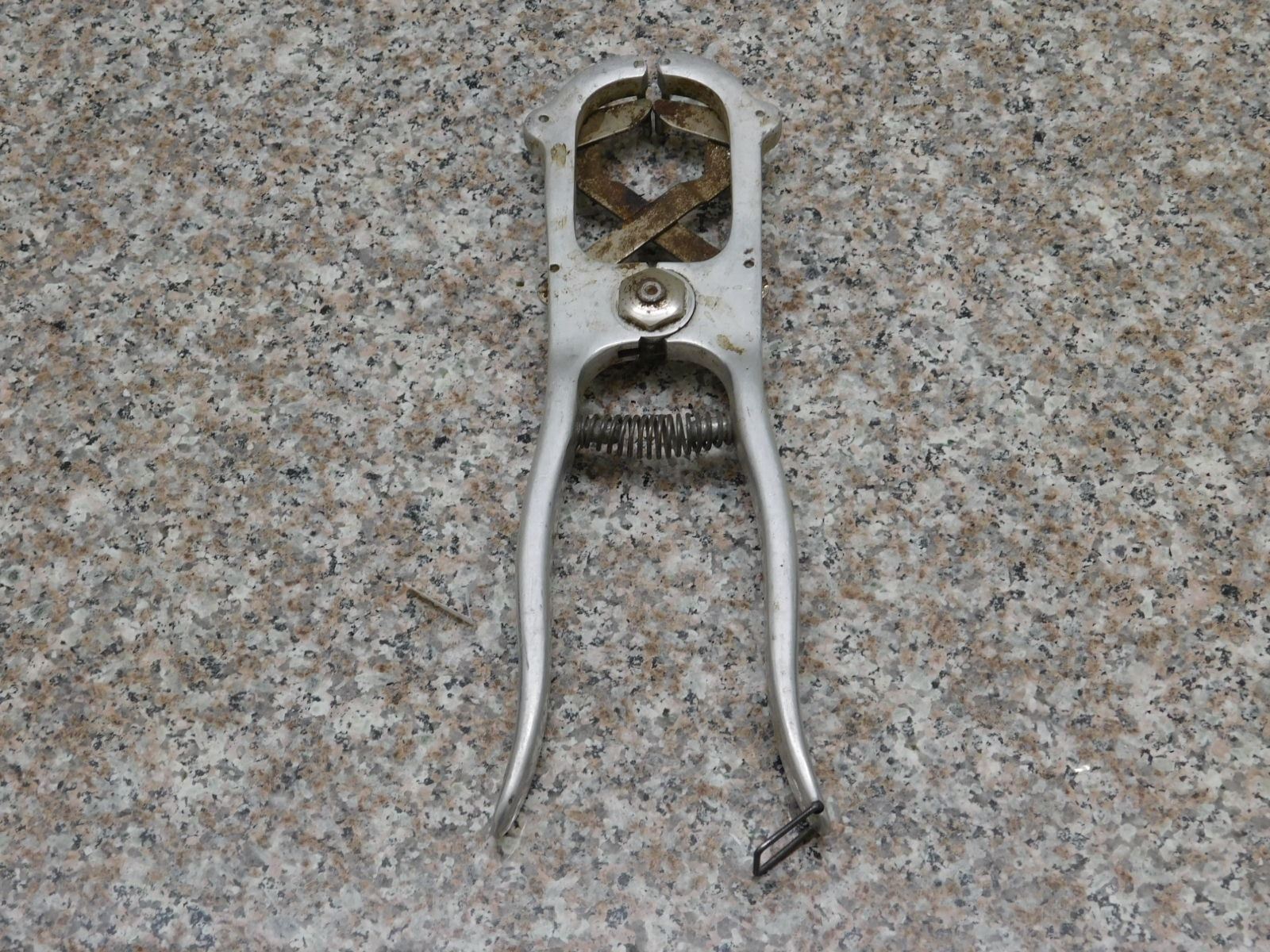 Castration Bands Bull Banders Eqine Aluminum