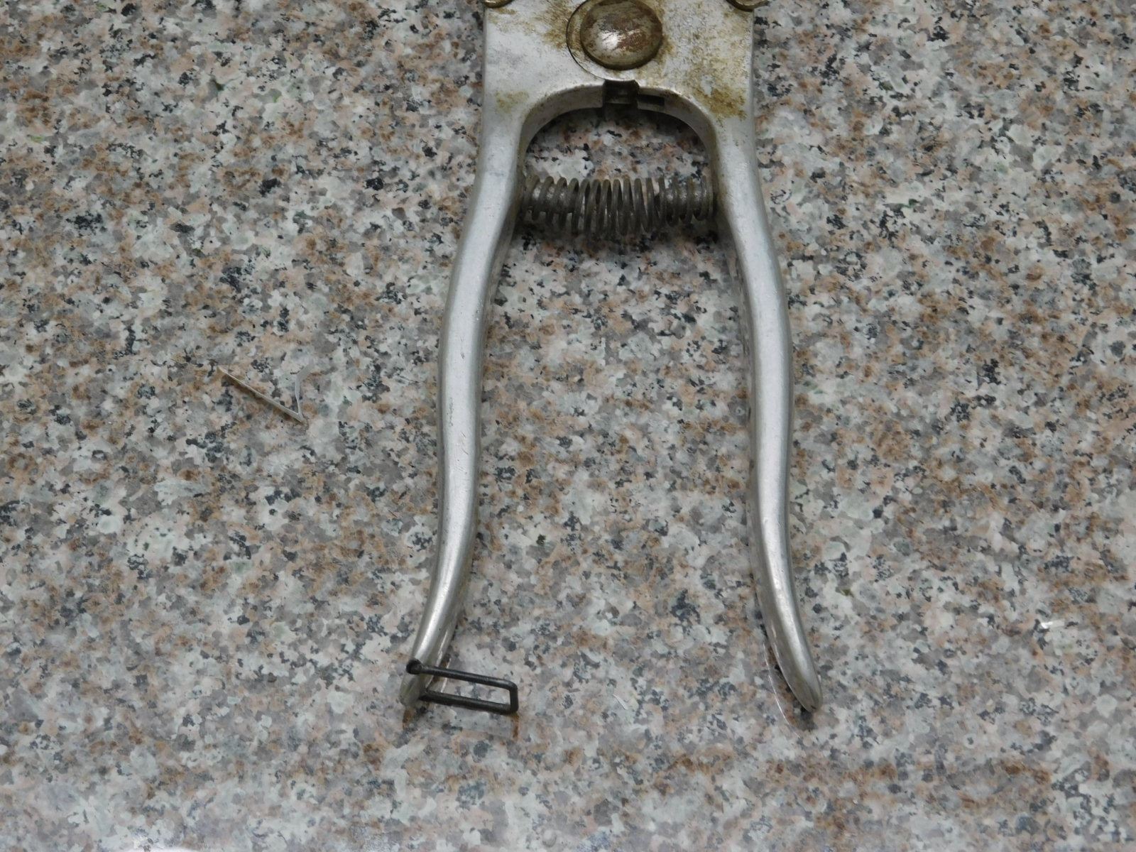 Castration Bands Bull Banders Eqine Aluminum