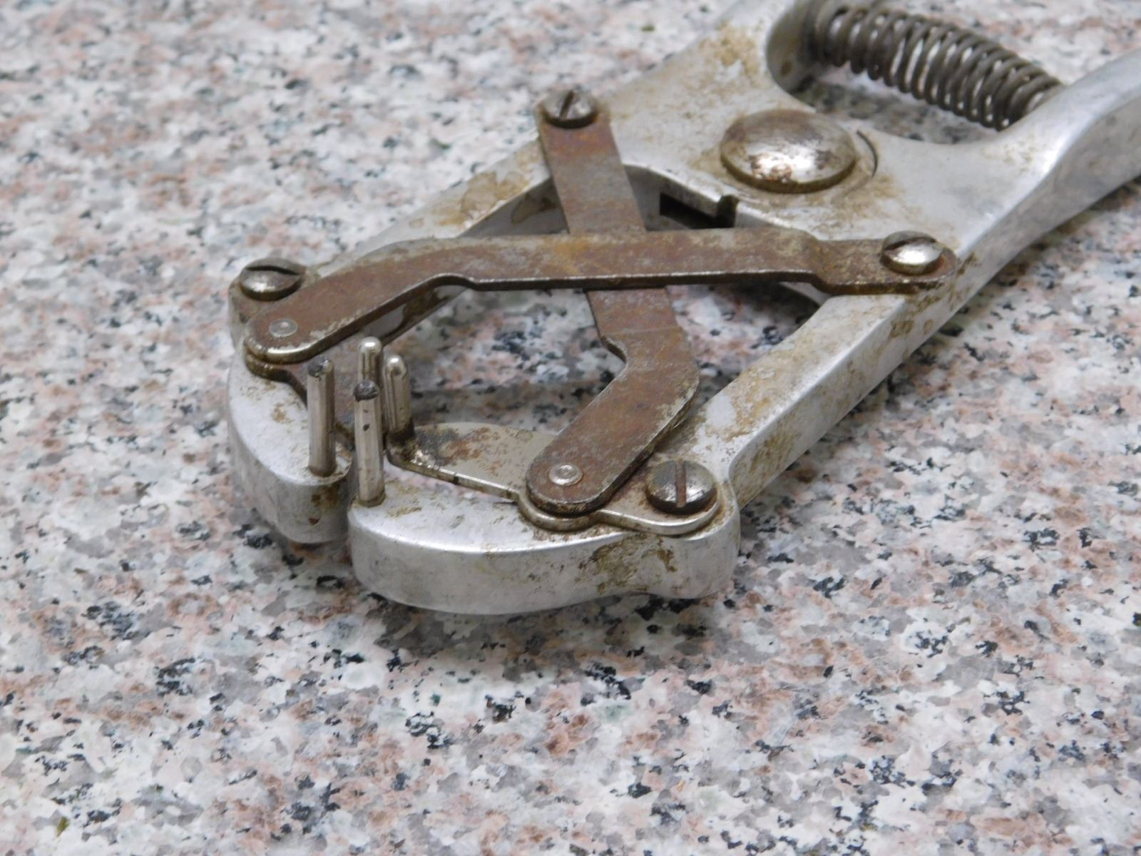 Castration Bands Bull Banders Eqine Aluminum