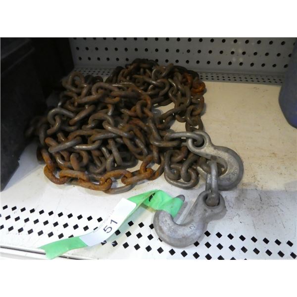 20ft chain with hooks