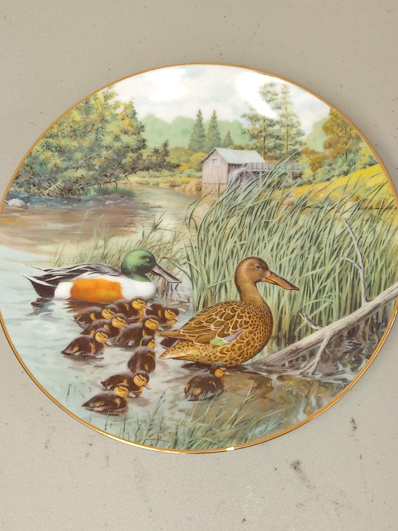 "THE NORTHERN SHOVELER" #7048D by: BART JERNER 5TH ISSUE IN JERNER'S ...