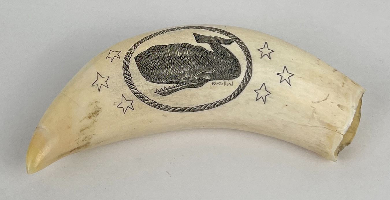 Antique Eskimo Inuit Scrimshaw Whale Tooth