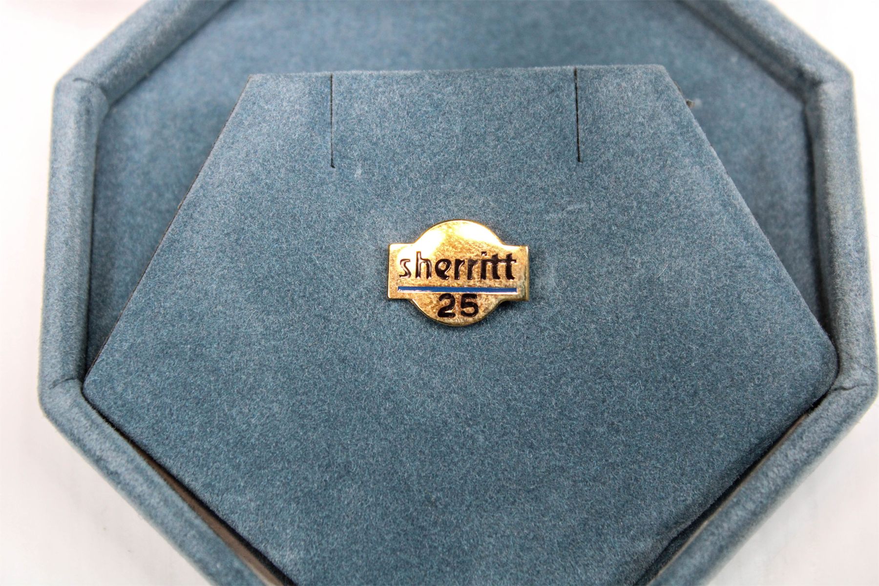 BIRKS 10K GOLD SHERRIT 25 YEAR PIN