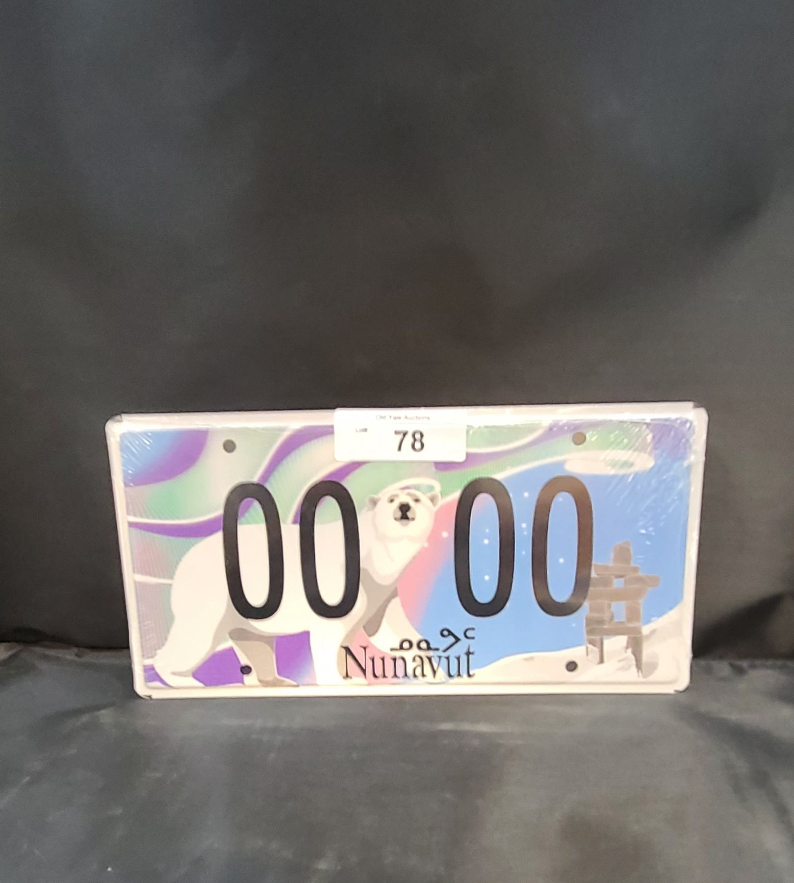 YUKON/NUNAVUT POLAR BEAR SAMPLE LICENSE PLATE