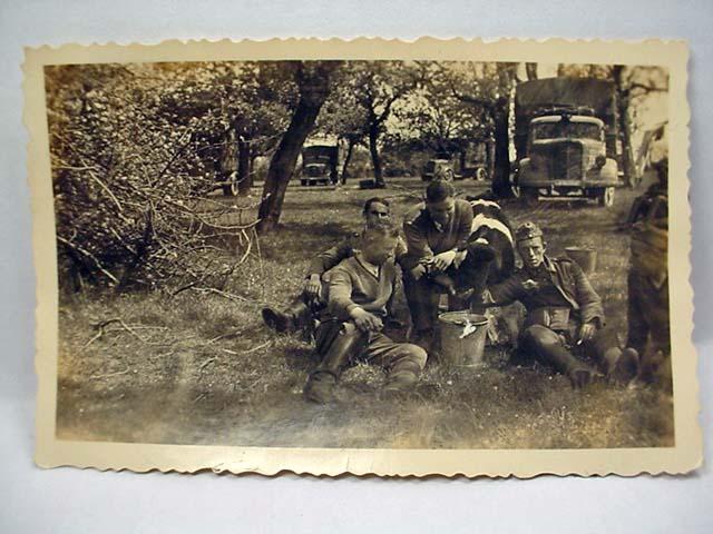 WW2 NAZI GERMAN PHOTO OF SOLDIERS FEEDING COW - 2