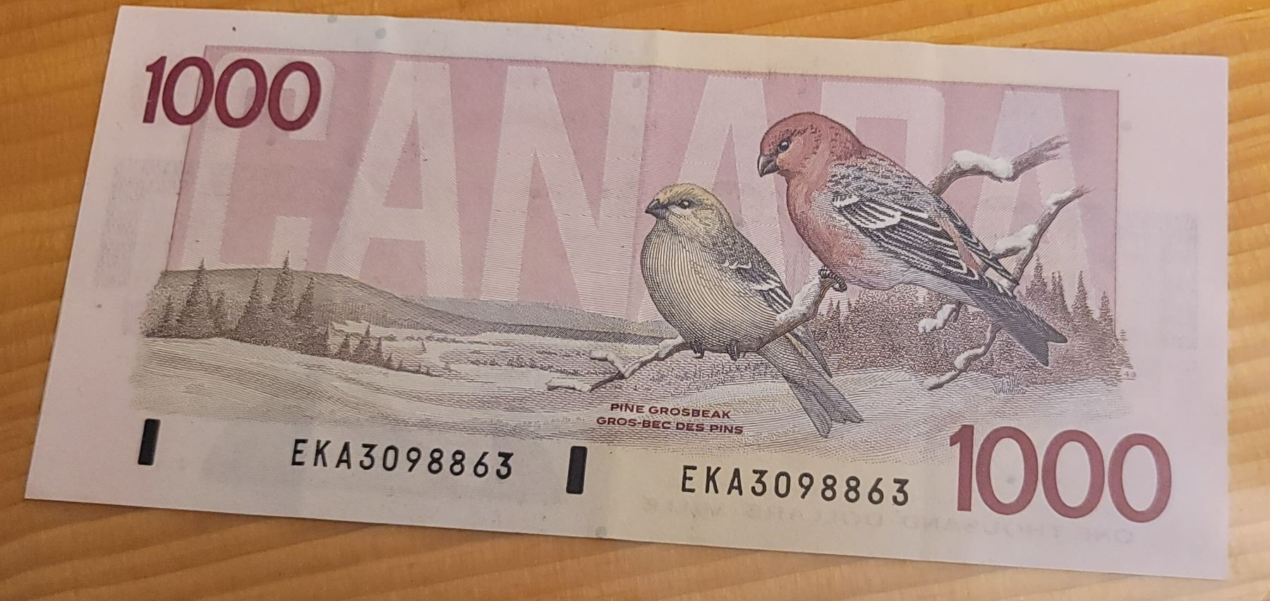 One 1988 Canadian One Thousand Dollar Bill One 1988 Canadian One Thousand Dollar Bill