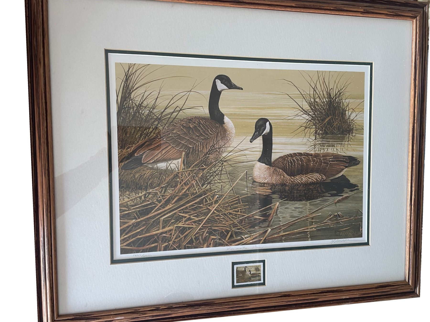Framed Limited Edition Print and Stamp , 22" x 26.5" , Artist M.Visser