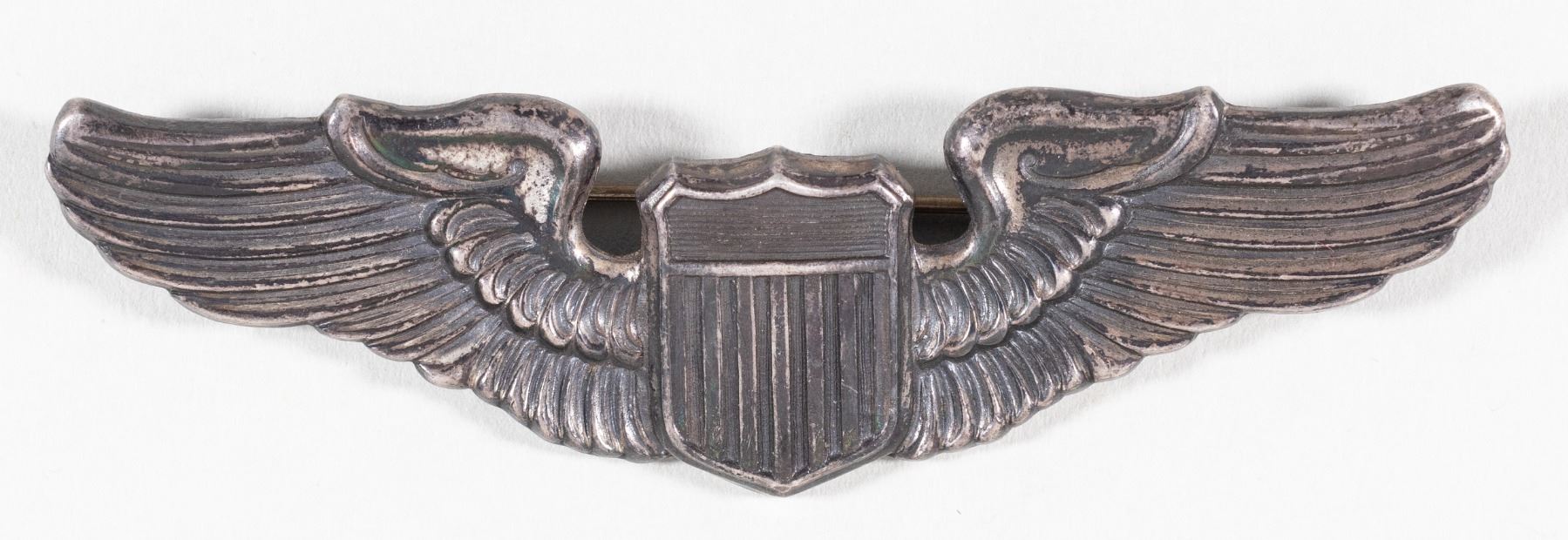 US AIR FORCE PILOT WING