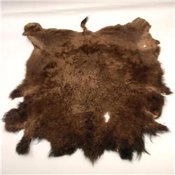 Olden Early 20th Century Buffalo Calf Robe