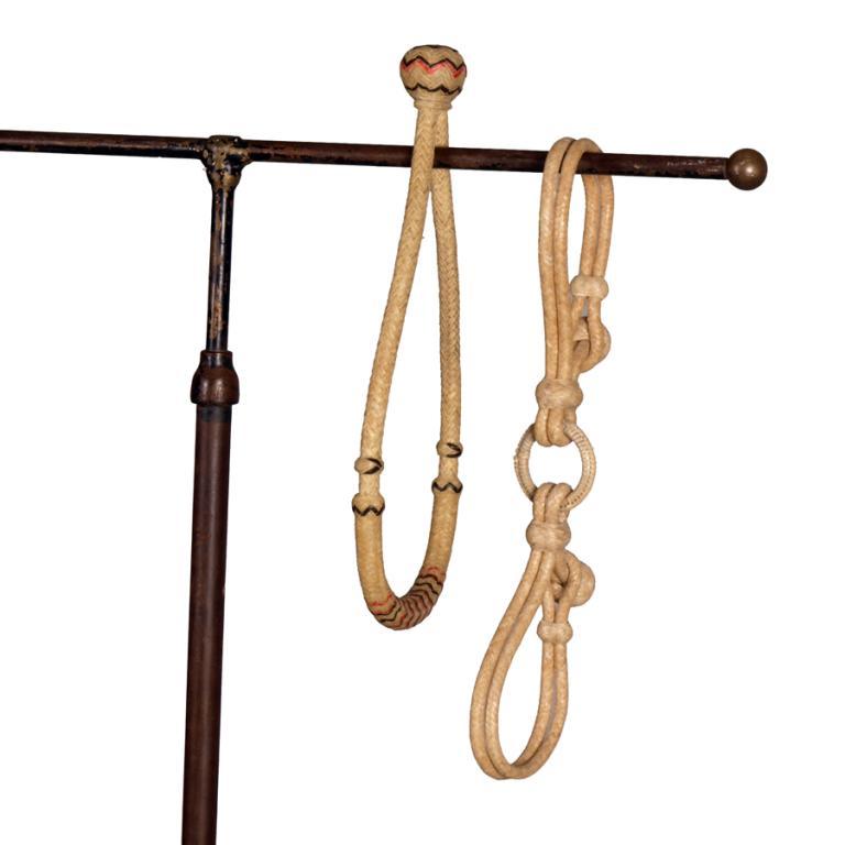 Matching set of rawhide braided bosal