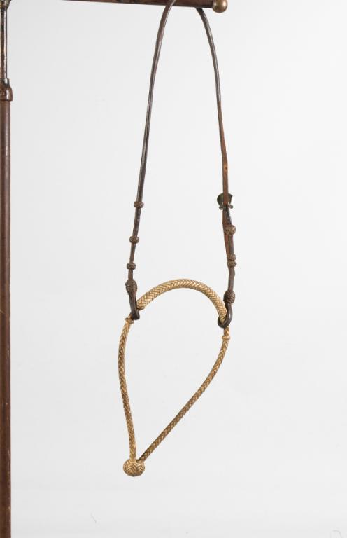 Ortega Style Pencil Bosal & Horsehair