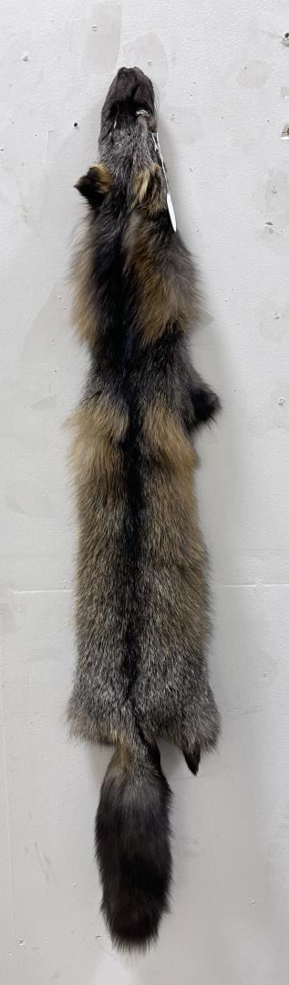 Beautiful Ranch Silver Fox Fur Pelt Taxidermy #14