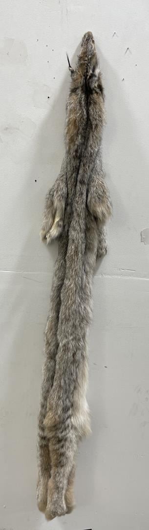 Beautiful Alaskan Lynx Fur Pelt Taxidermy #22