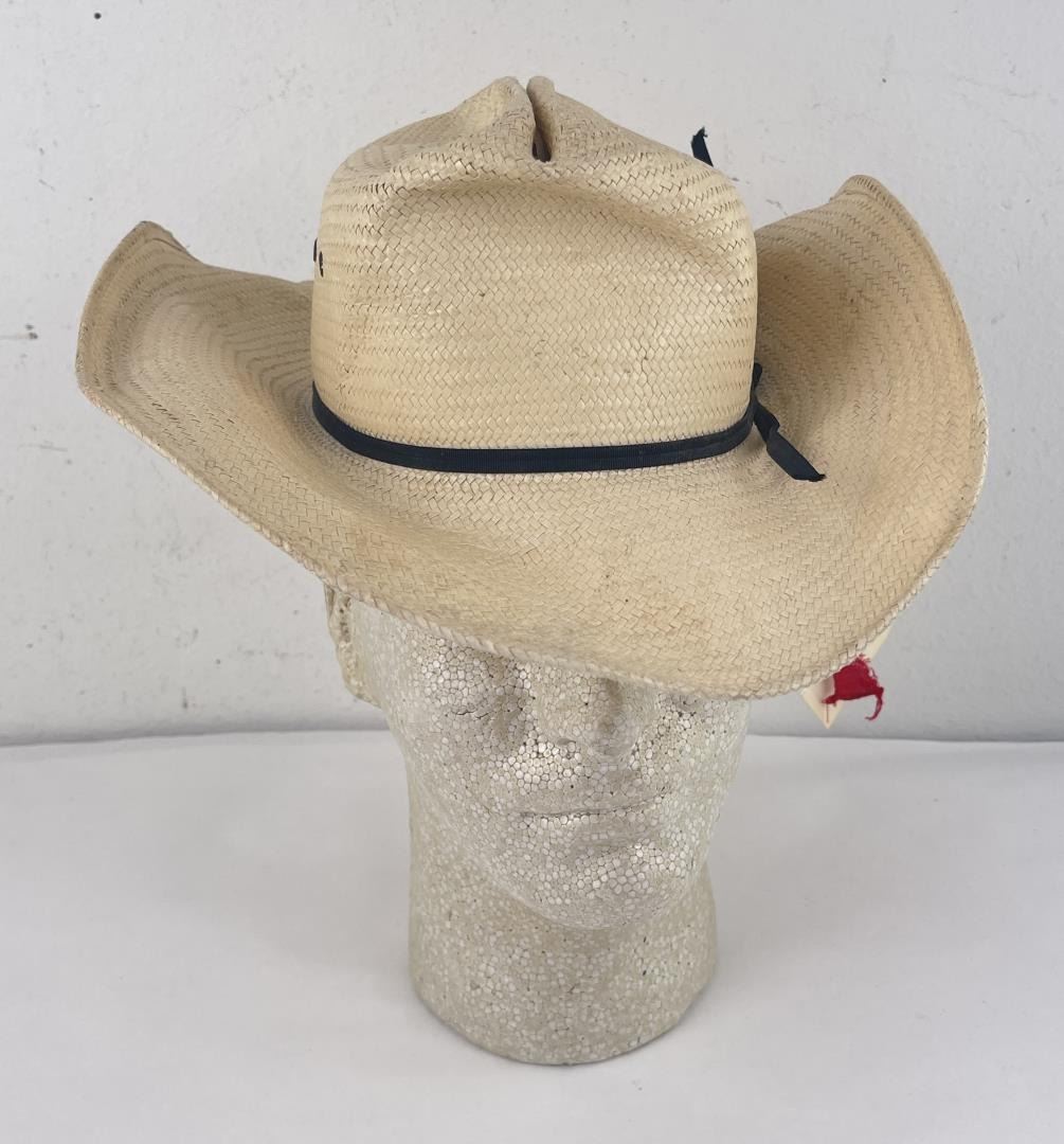 Vintage Stetson Stallion Cowboy Hat