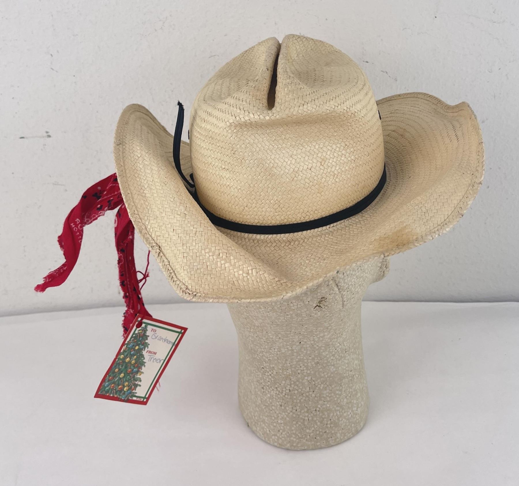 Vintage Stetson Stallion Cowboy Hat