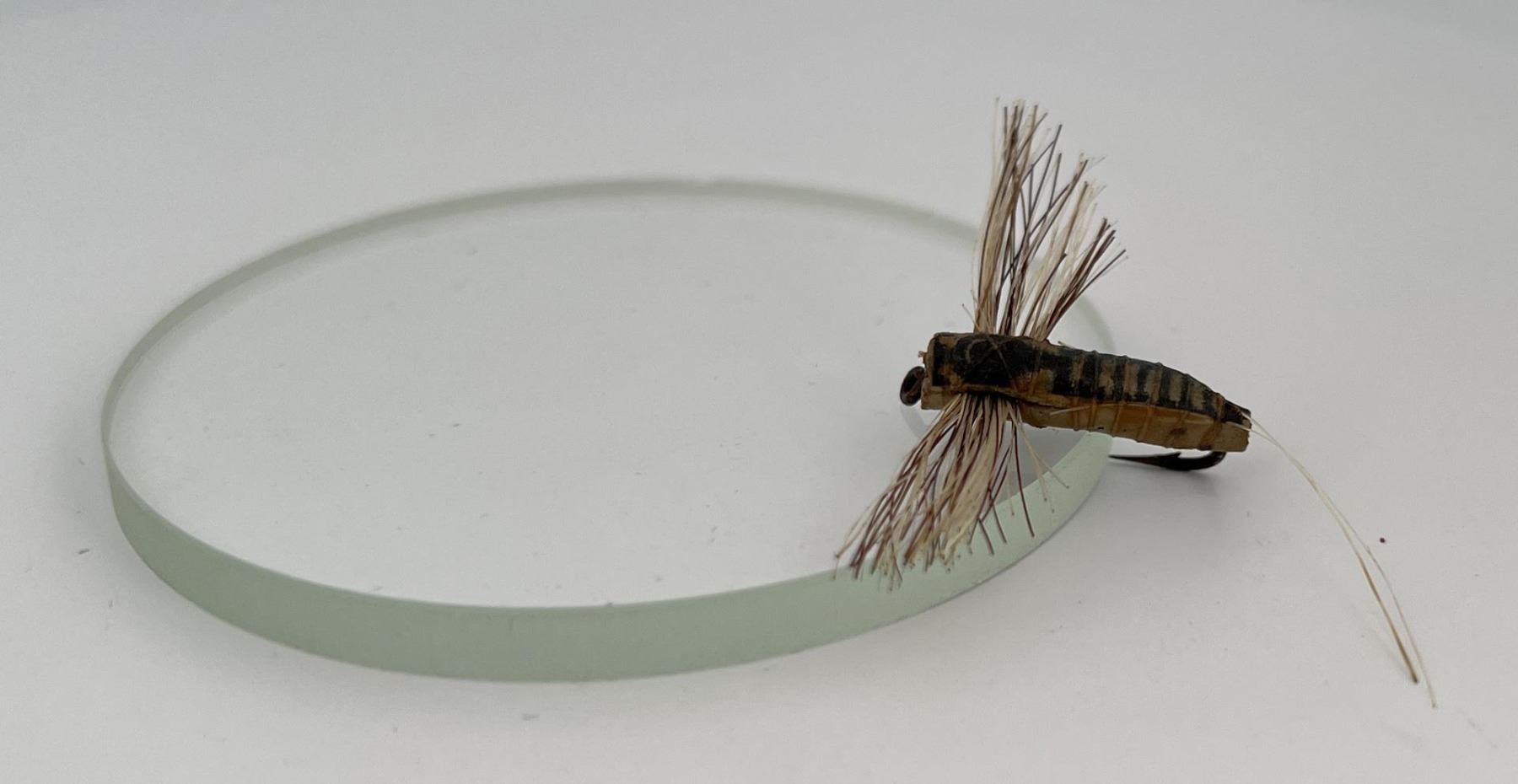 Missoula Montana Bunyan Bug Fishing Fly Means