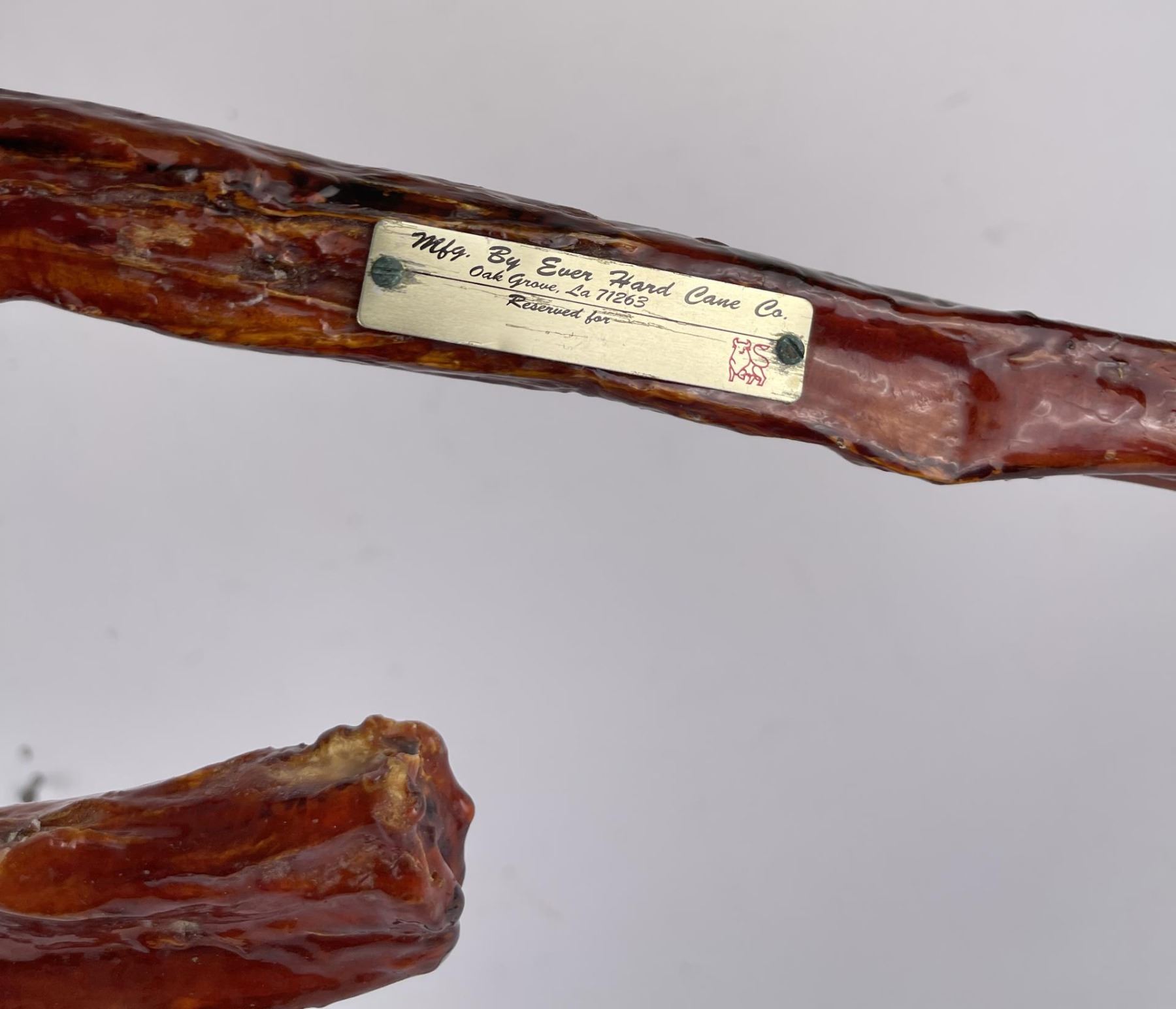 Bull Penis Cane Ever Hard Canes Louisiana