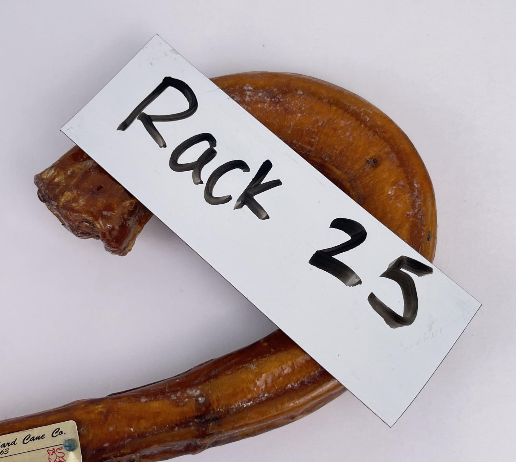 Bull Penis Cane Ever Hard Canes Louisiana