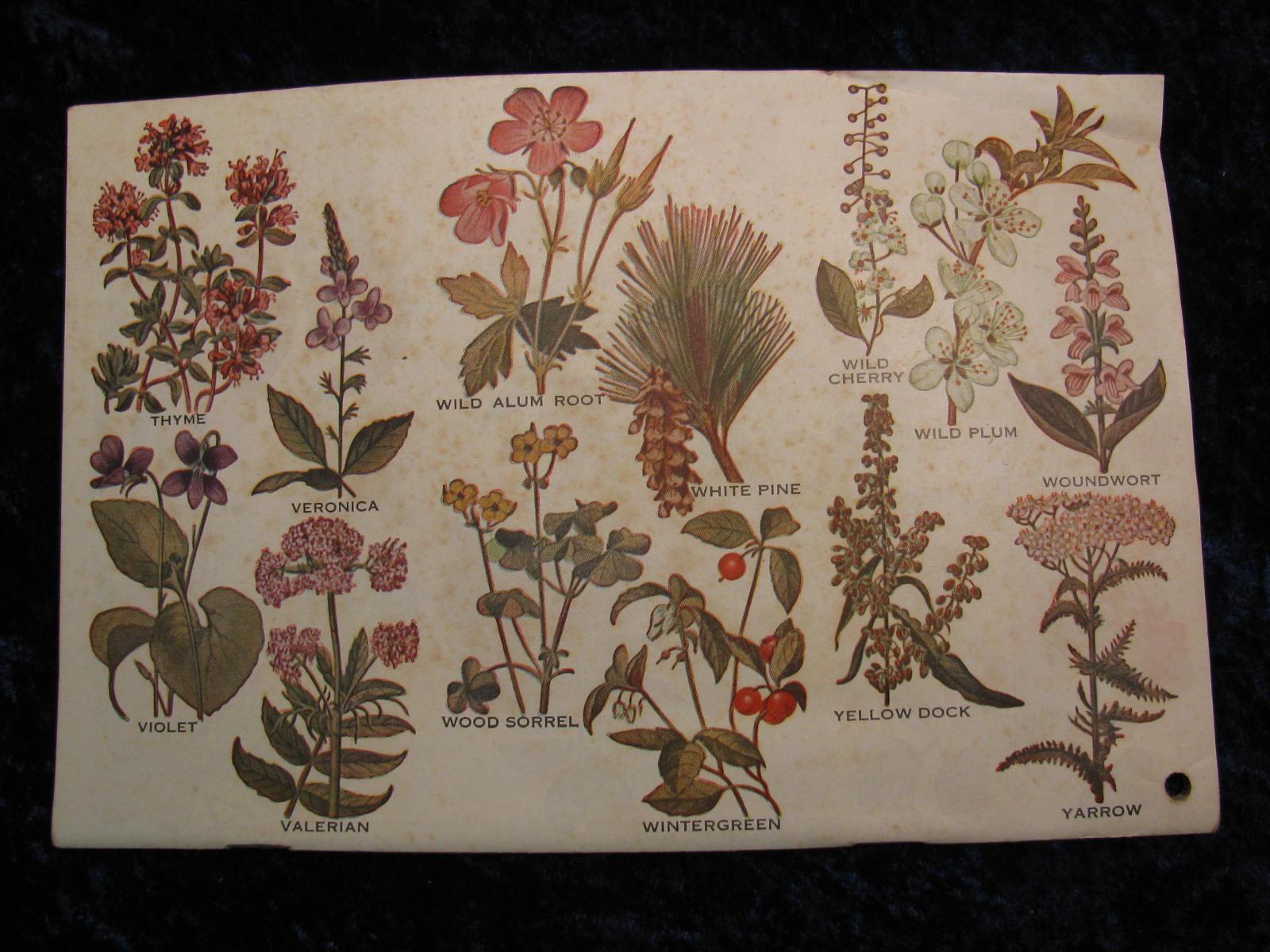 2424. 1954 The Herbalist Almanac,Indiana Botanic Gardens.