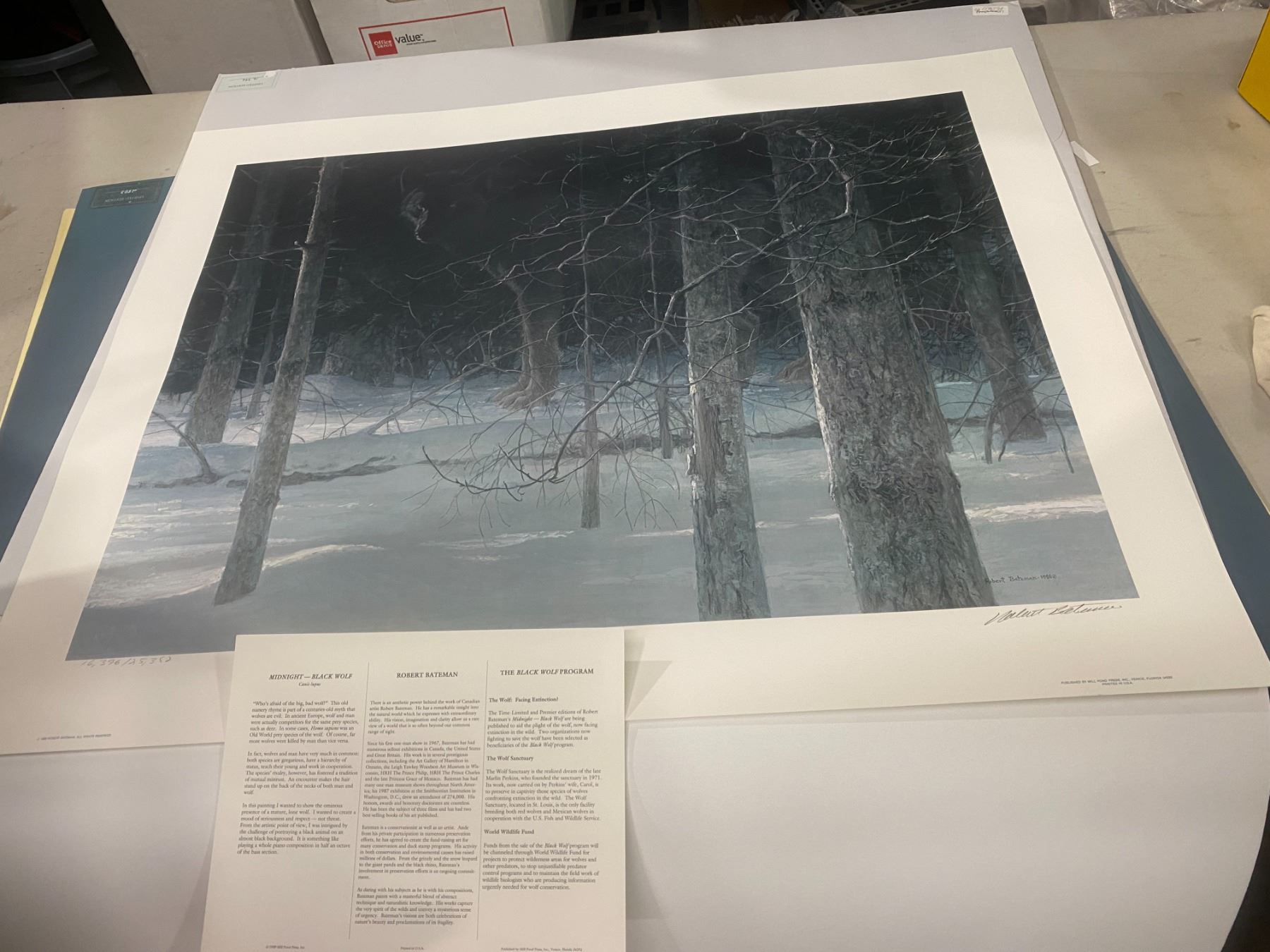 Robert Bateman Midnight Black Wolf