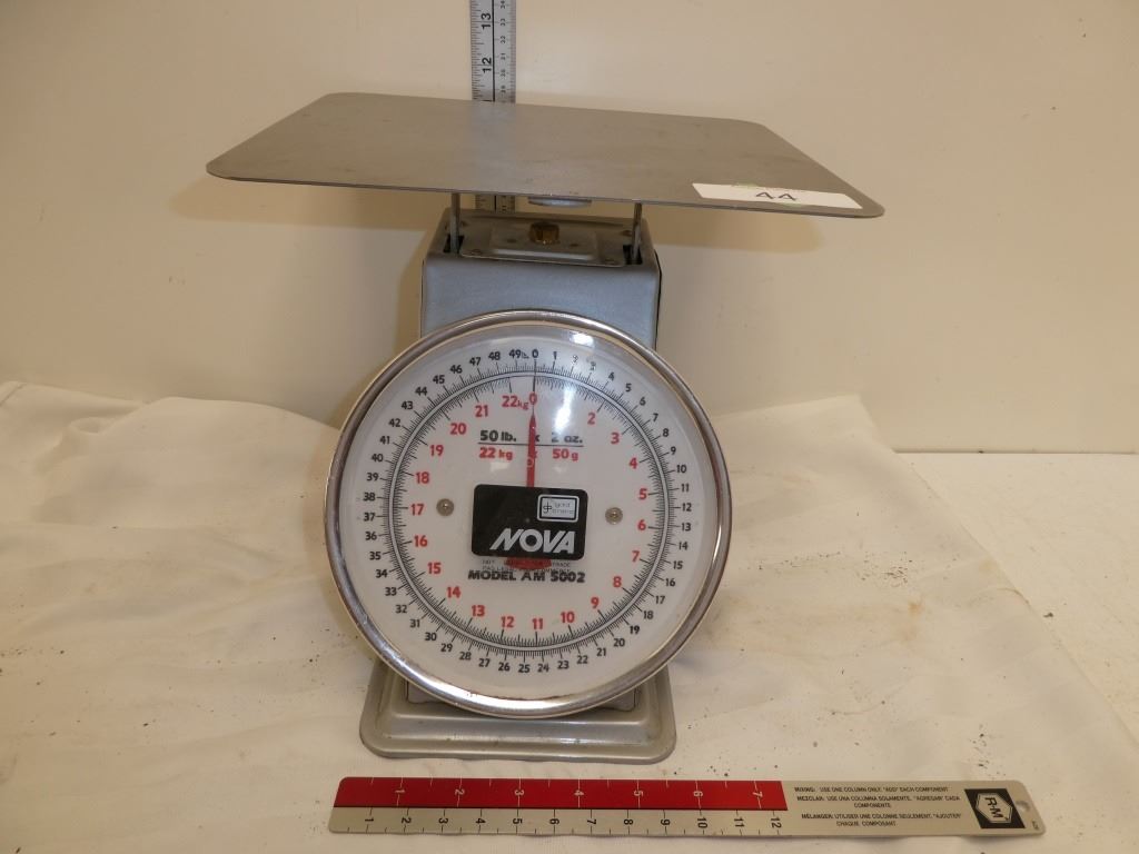 Nova kitchen scale