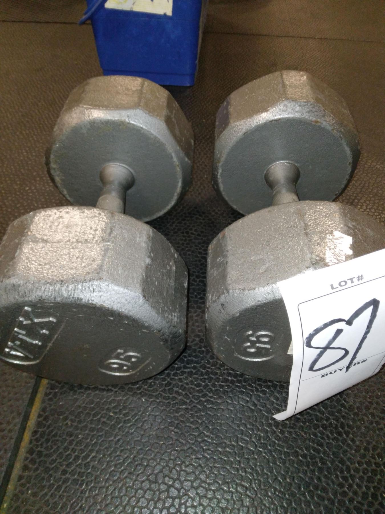 95 LB DUMBELLS (x2)