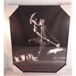 Elvis the Wertheimer collection B&W Photo reprint poster