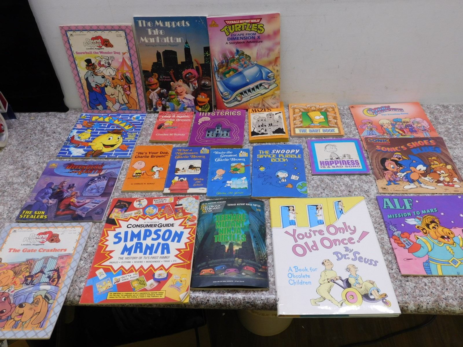 Lot of 21 Kids Cartoon Books TMNT Sonic Alf Simpsons Charlie Brown Bart ...