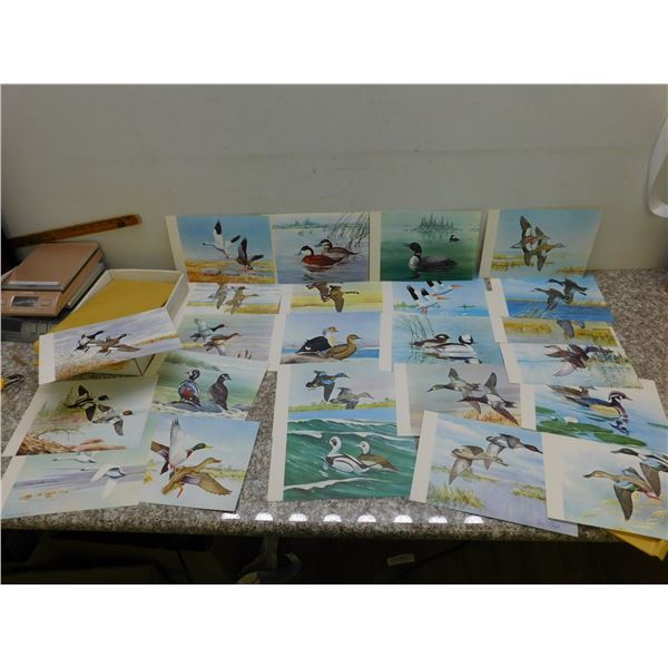Lot of 6 Sets of Waterbird Series Angus Shortt Art Prints 1960 Baker ...