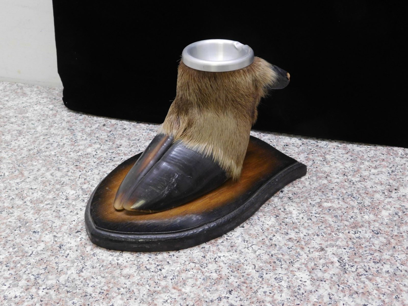 Caribou Hoof Ashtray