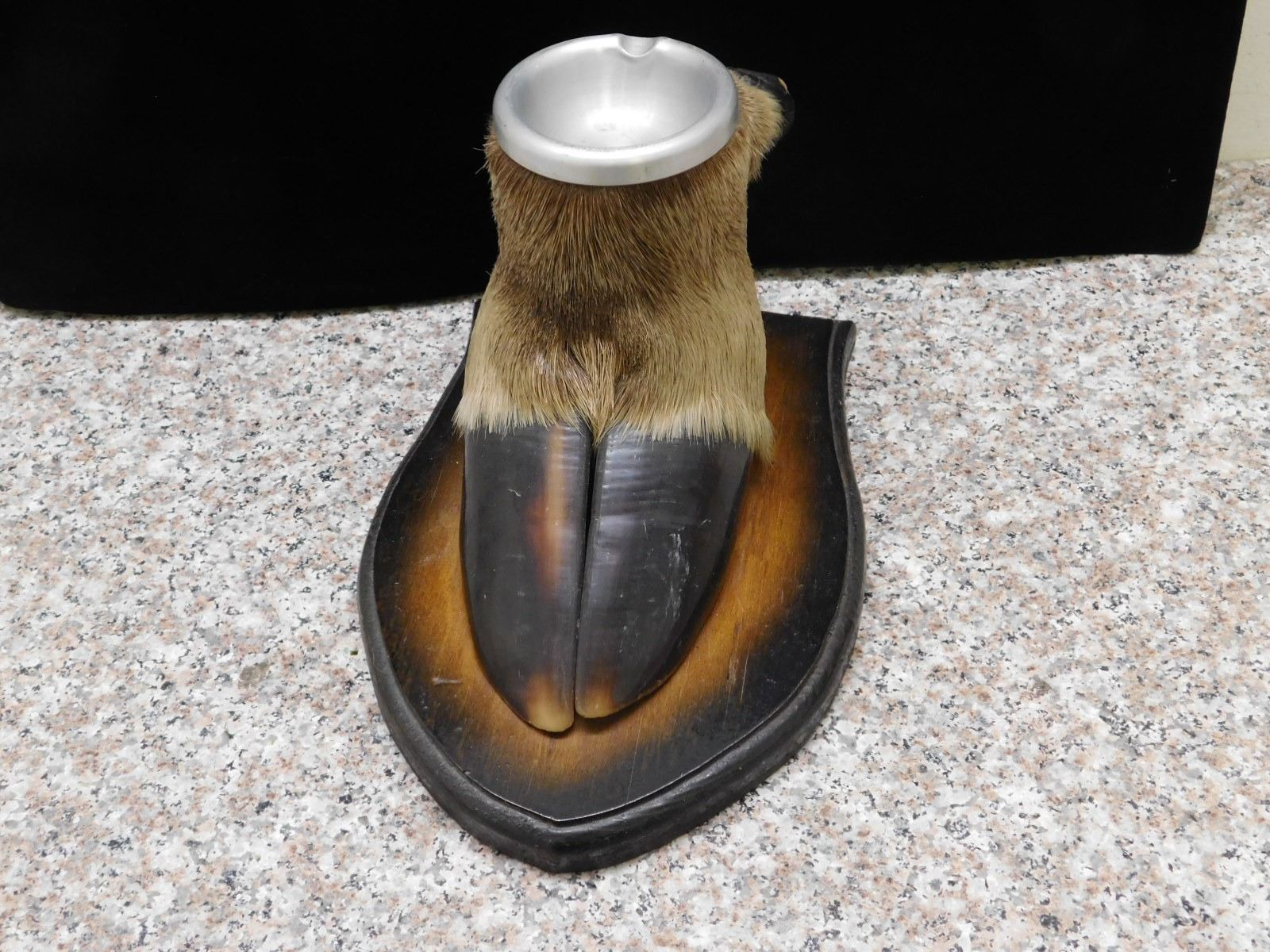 Caribou Hoof Ashtray
