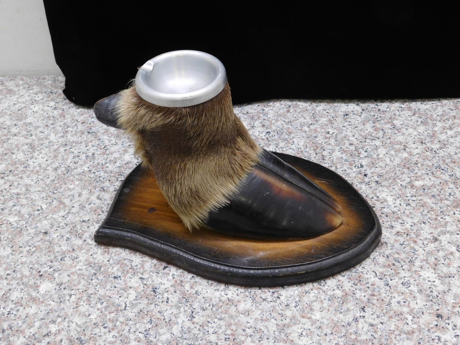 Caribou Hoof Ashtray