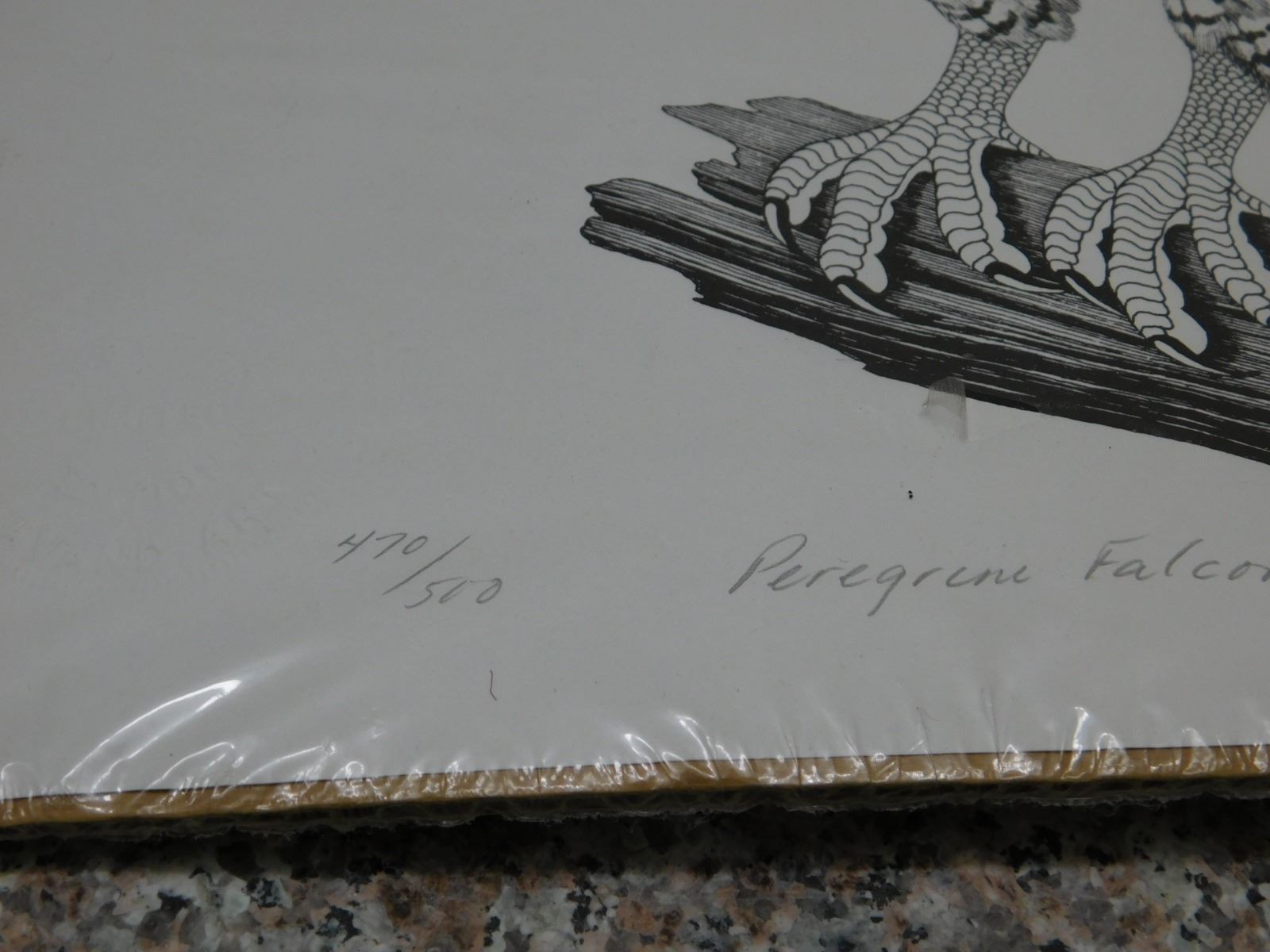 Art Print Peregrine Falcone John Paul Lavand 470/500 SEALED