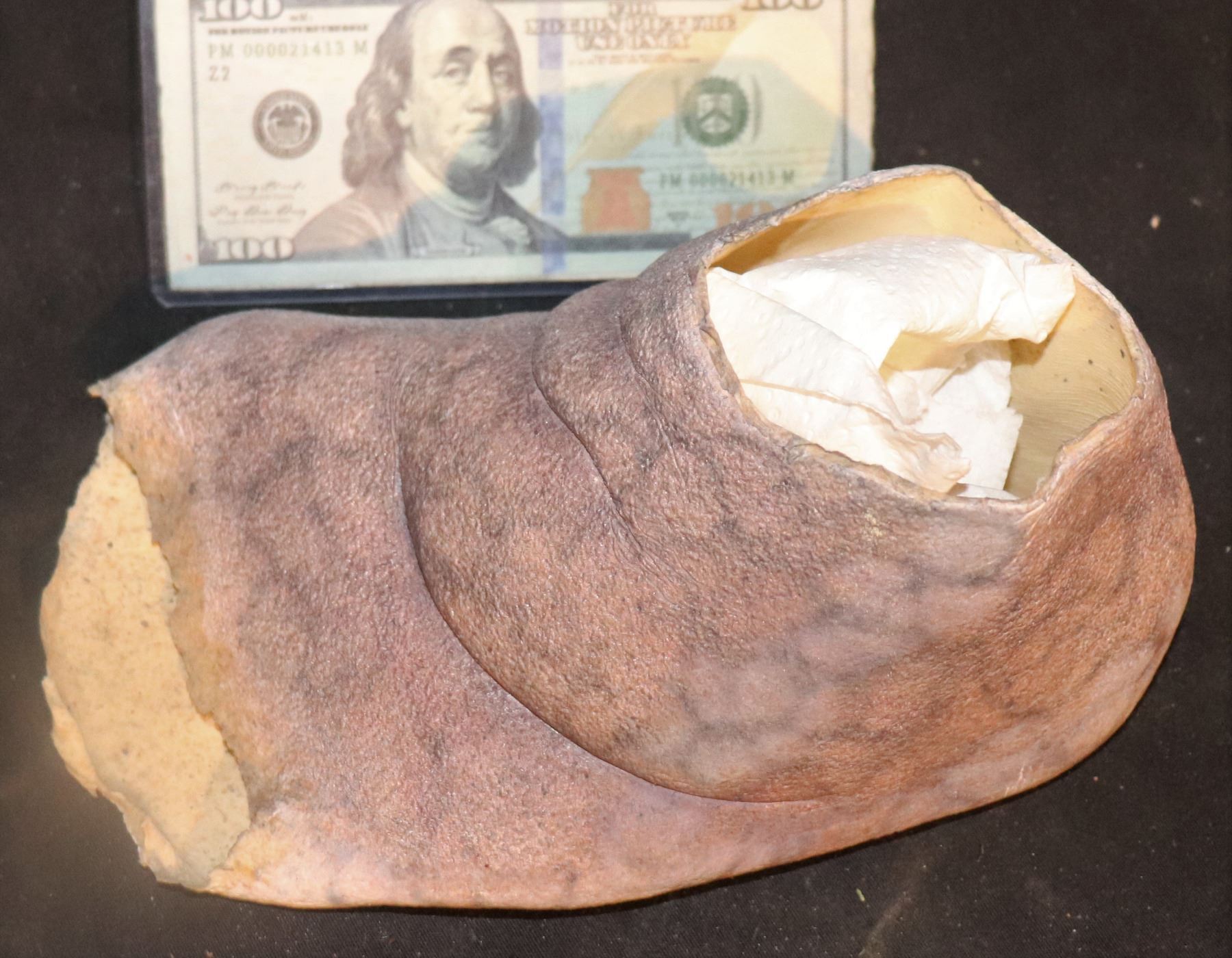 HELLBOY THE GOLDEN ARMY UNKNOWN CREATURE FOOT