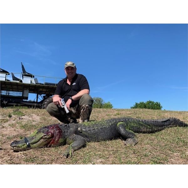 Florida Gator Hunt