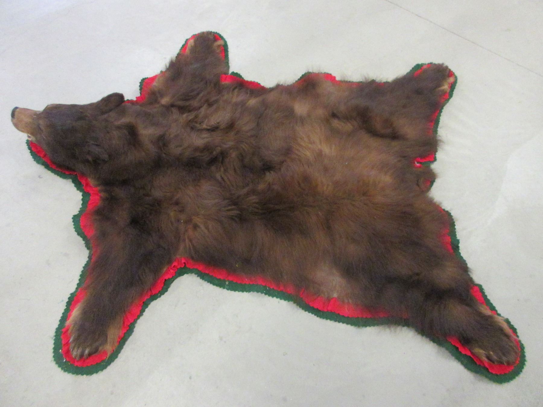 Double Matted Brown Black Bear Rug- Nose To Tail 64"- Across Front Legs ...