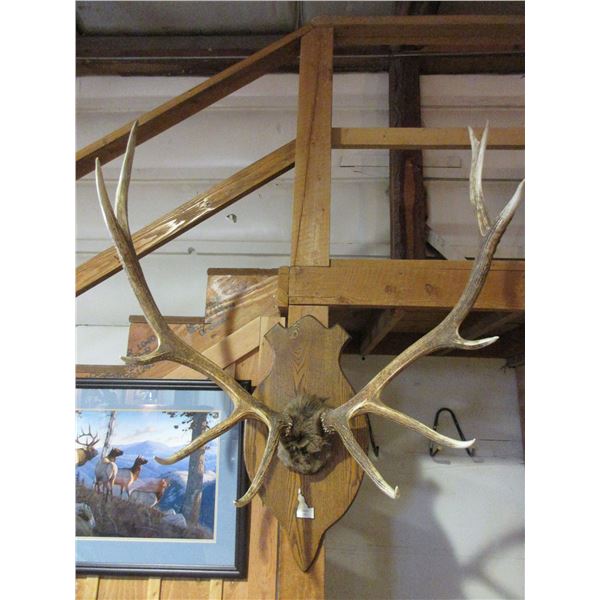 5X6 Elk Rack On Board