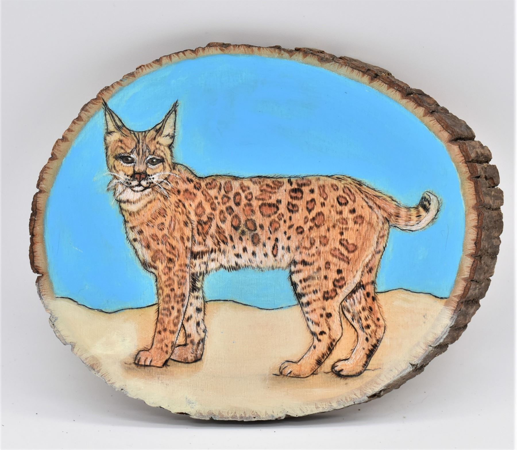 Original Wood Burned & Hand Painted Bobcat Plaque