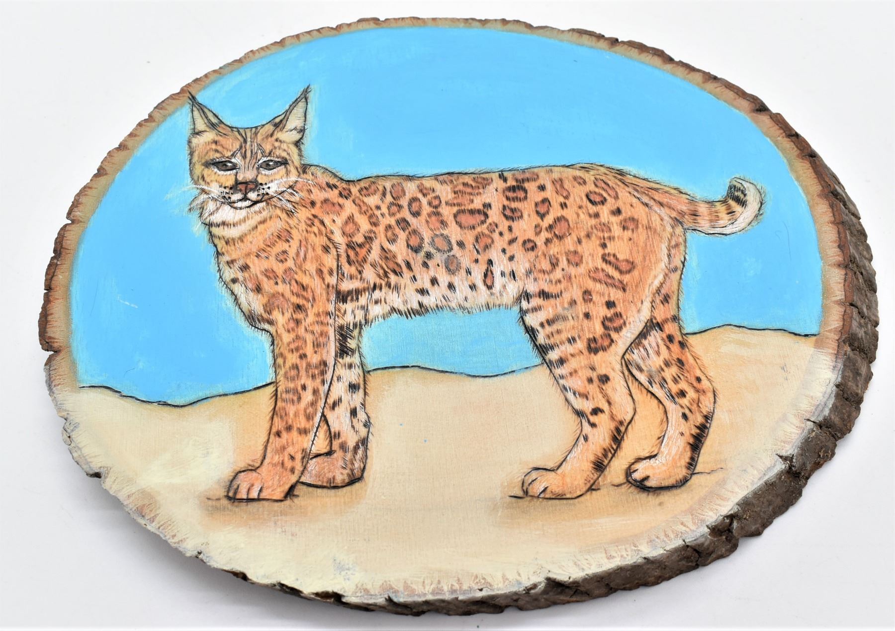 Original Wood Burned & Hand Painted Bobcat Plaque