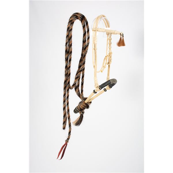 Contemporary Braided Rawhide Headstall & Hackamore