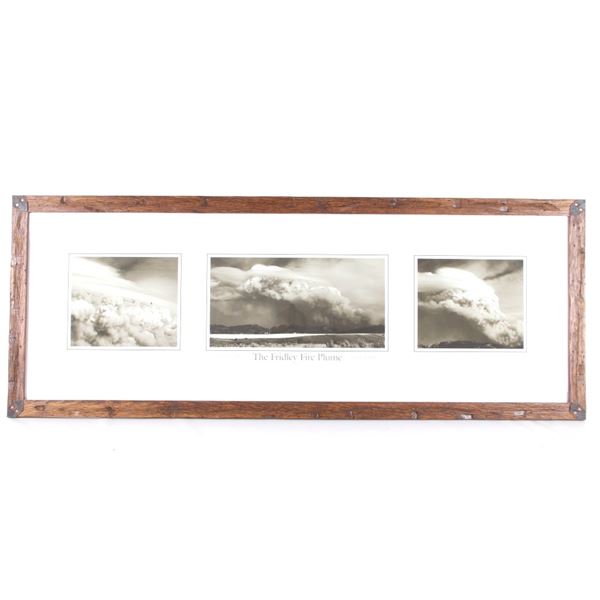 Fridley Fire Plume Triptiz Framed Lithographs