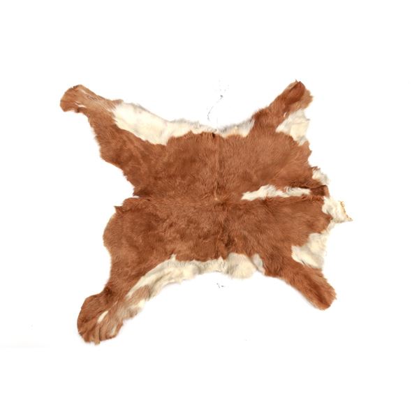 Montana Tanned Hereford Calf Hide Taxidermy