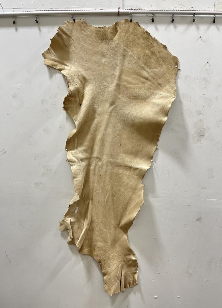 Montana Taxidermy Tanned Leather Elk Hide