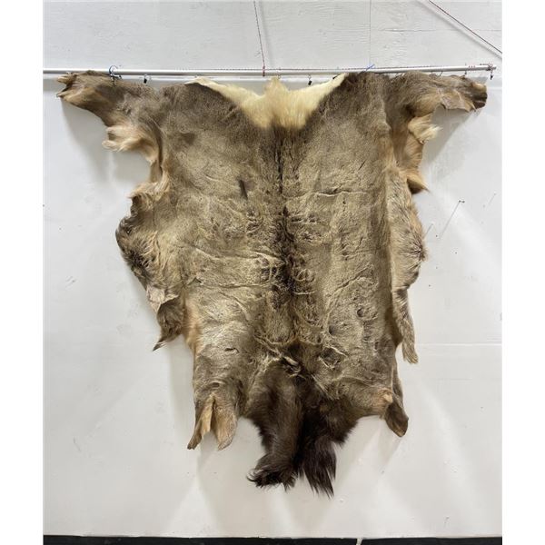 Montana Taxidermy Tanned Leather Elk Hide