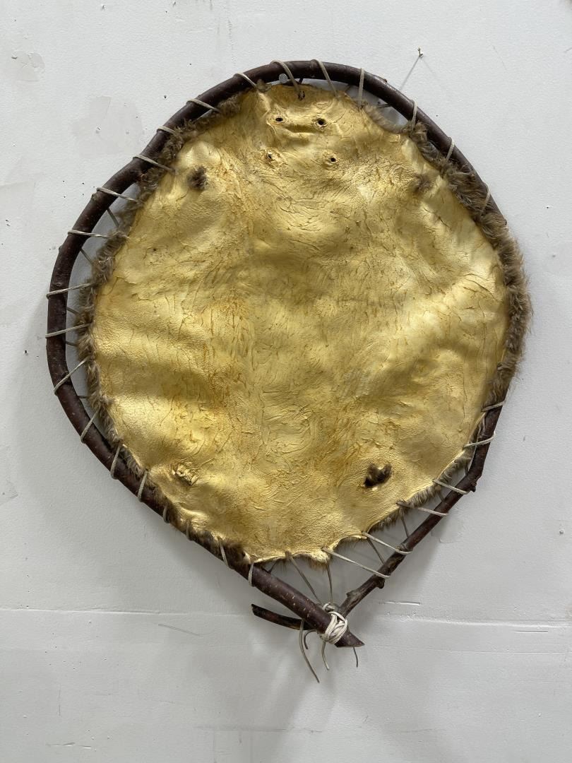 Montana Taxidermy Hooped Beaver Hide Pelt