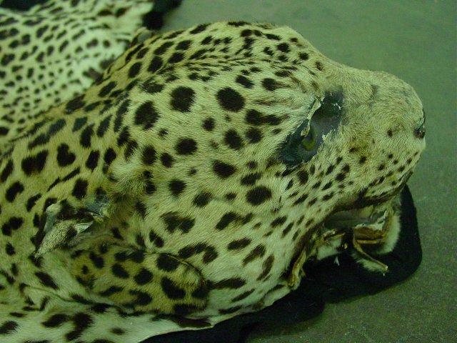 Faux leopard skin rug