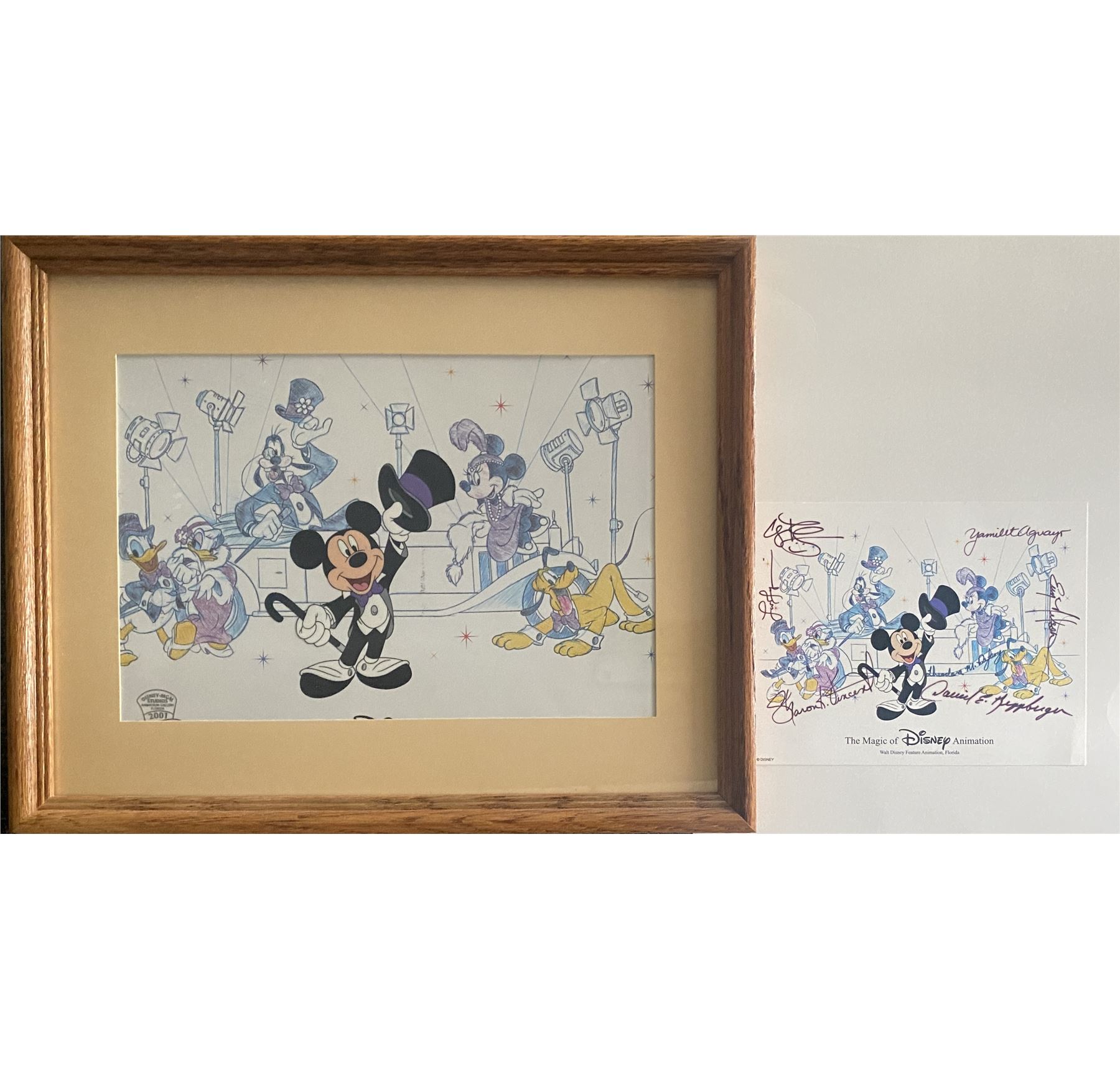 The Magic of Disney Lights Camera Action framed hand painted cel and ...