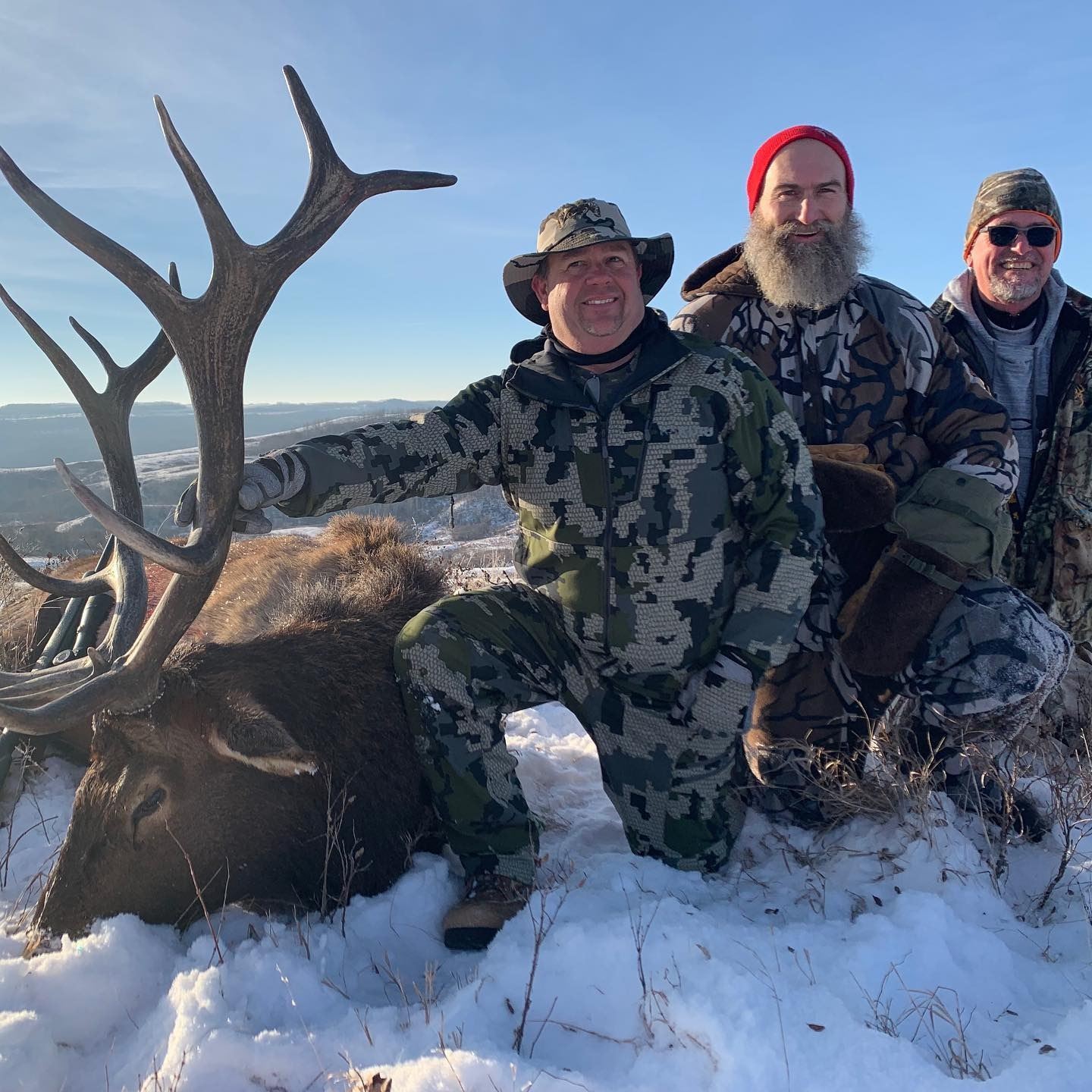 4-day, 3 Night Elk Hunt for Two Hunters in Central Alberta, Canada, Elk ...