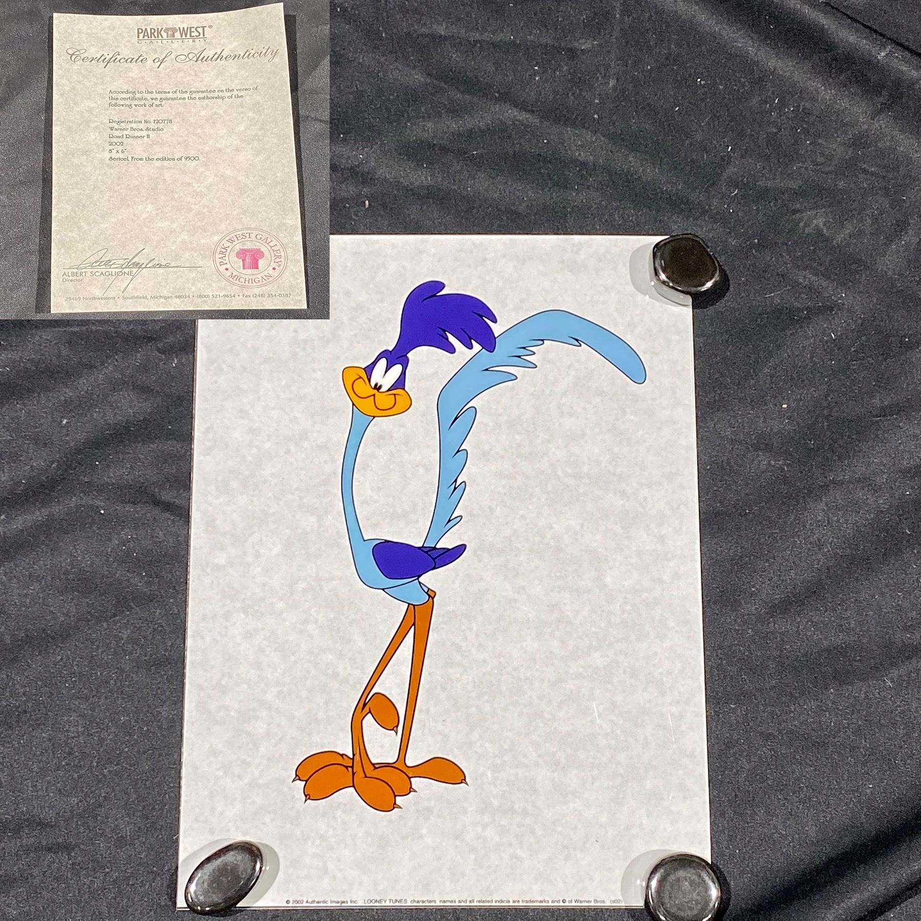 Sericel Warner Bros. Studio Road Runner ll