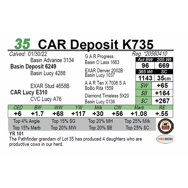 CAR Deposit K735
